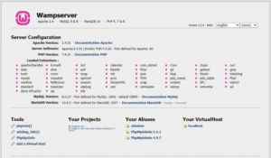 WAMP vs XAMPP: Choosing the Best Local Server for WordPress Development