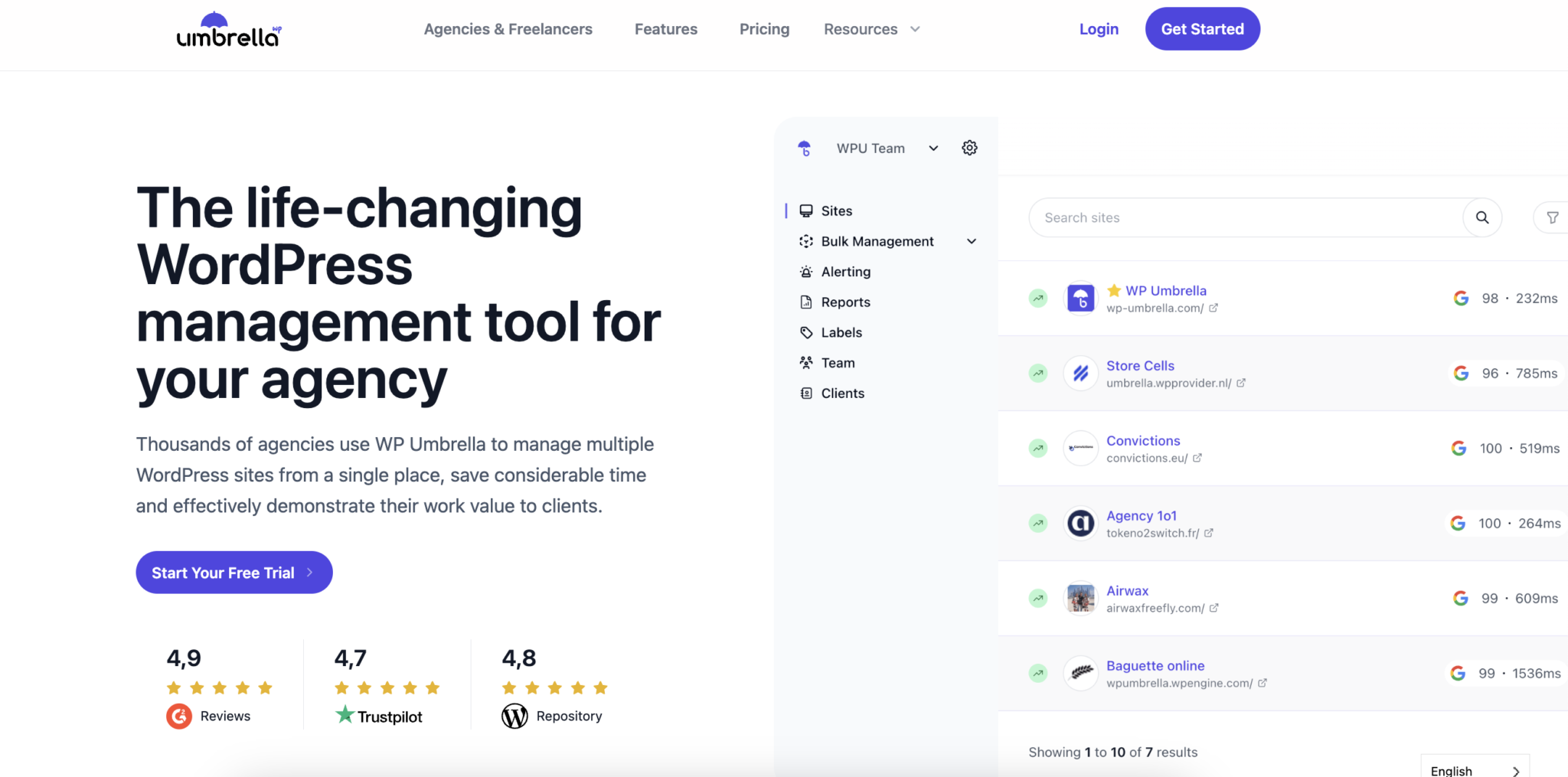 Essential Guide to WordPress Maintenance Reports for Agencies